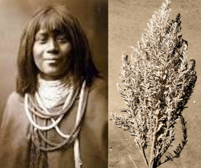 About Us – Official Tribal Website